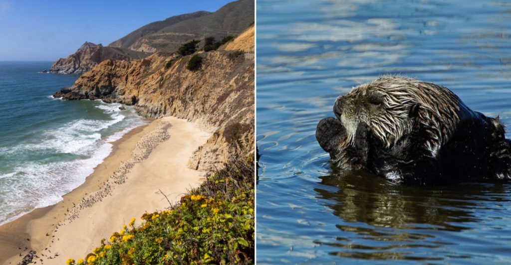 This California Cliffside Hamlet Delivers A Peaceful Thanksgiving Retreat