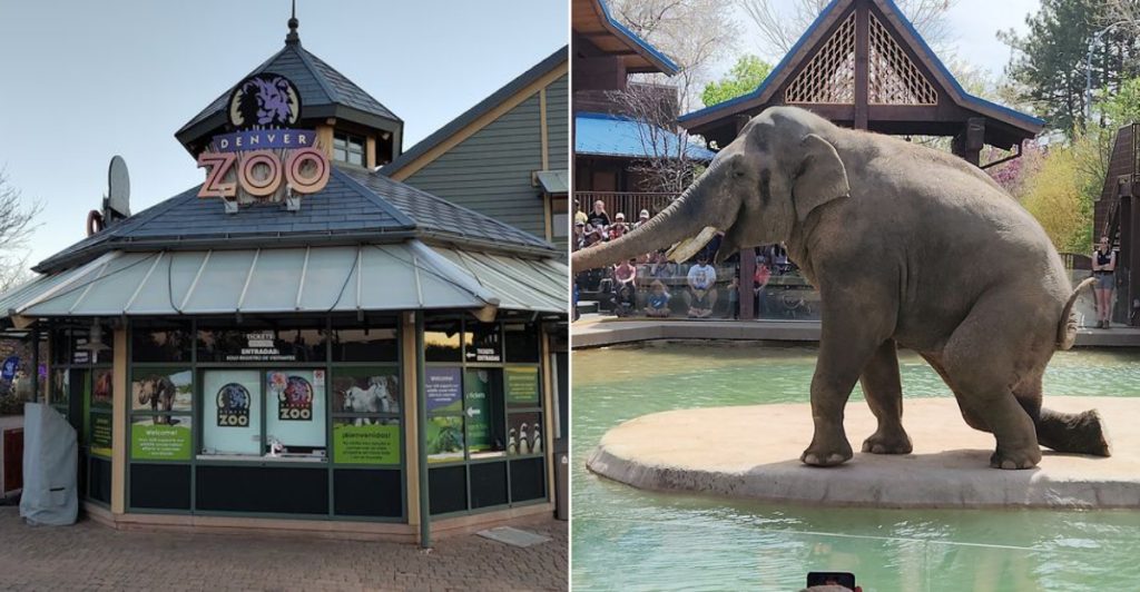 This Colorado Zoo Lets Visitors Hand-Feed Colorful Lorikeets In An Open ...