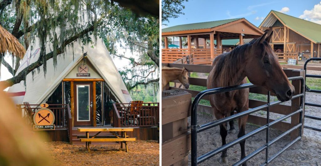 This Florida Farm Lets You Sleep In A Treehouse While Goats Roam Below ...