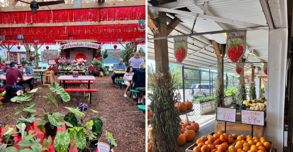 This Florida Farm Market Turns Fresh Strawberries, Shortcake, And ...