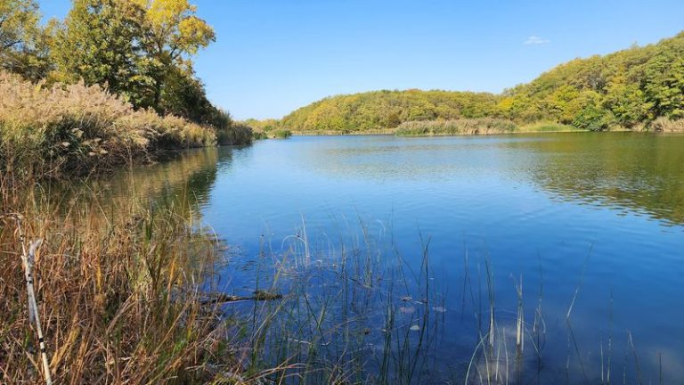 This Former Illinois Coal Mine Is Full Of Ancient Fossils Waiting To Be ...