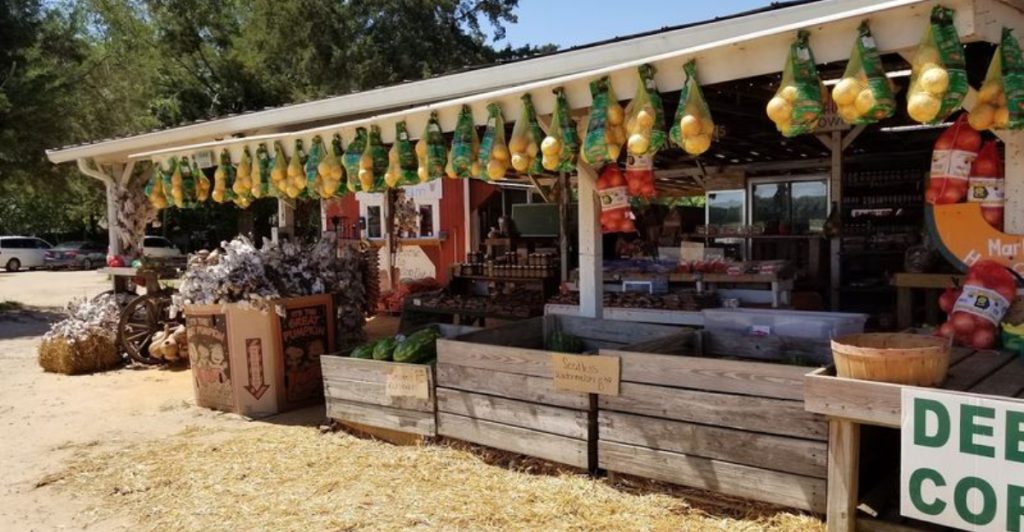 This Georgia Melon Patch Makes A Summer Road Trip Taste Like Soft Serve ...