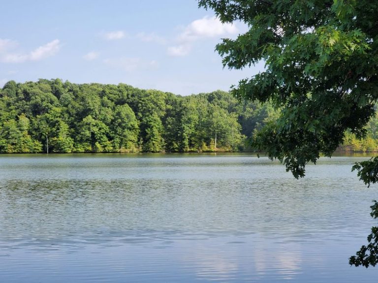This Hidden Beach In Arkansas Is Too Beautiful To Keep Secret