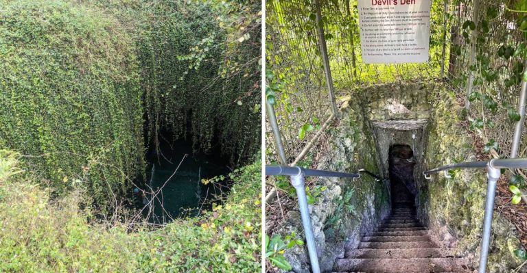 This Hidden Florida Trail Ends At A Spring So Clear You Can Count The ...