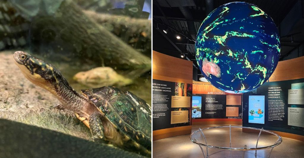 This Illinois Museum Lets Visitors Discover Science And Meet ...