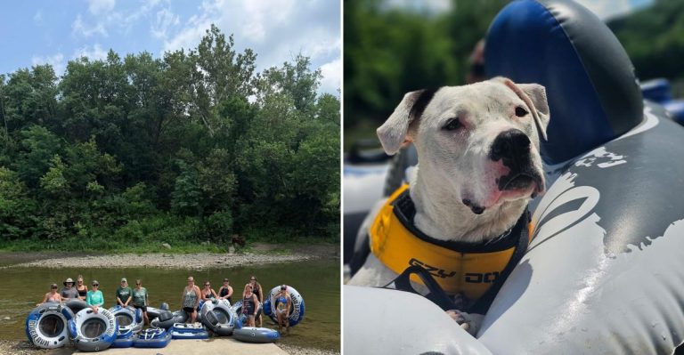 This Illinois River Adventure Is A Must-Add To Your Summer Bucket List