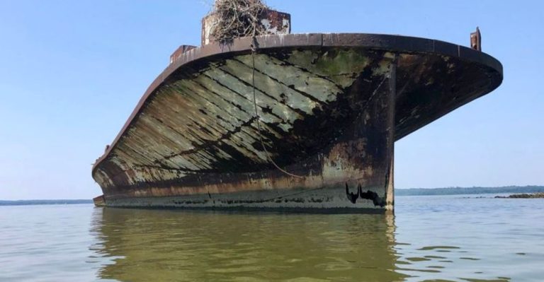 This Maryland Bay Lets You Kayak Through A Ghost Fleet Of Historic ...