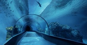 This Michigan Aquarium's Underwater Tunnel Feels Like Diving Into ...