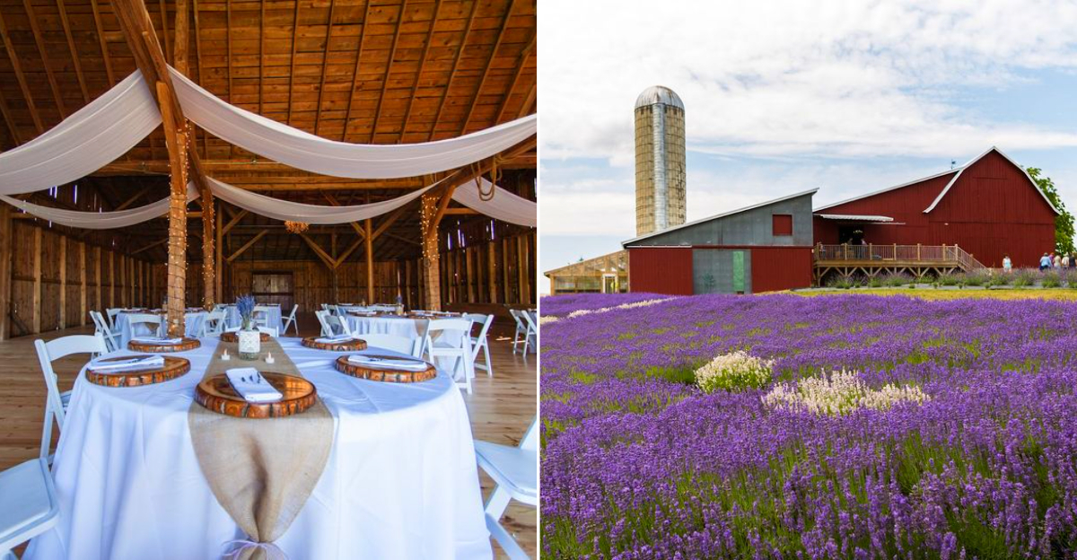 This Michigan Lavender Farm Serves A Father’s Day Brunch With Candied ...