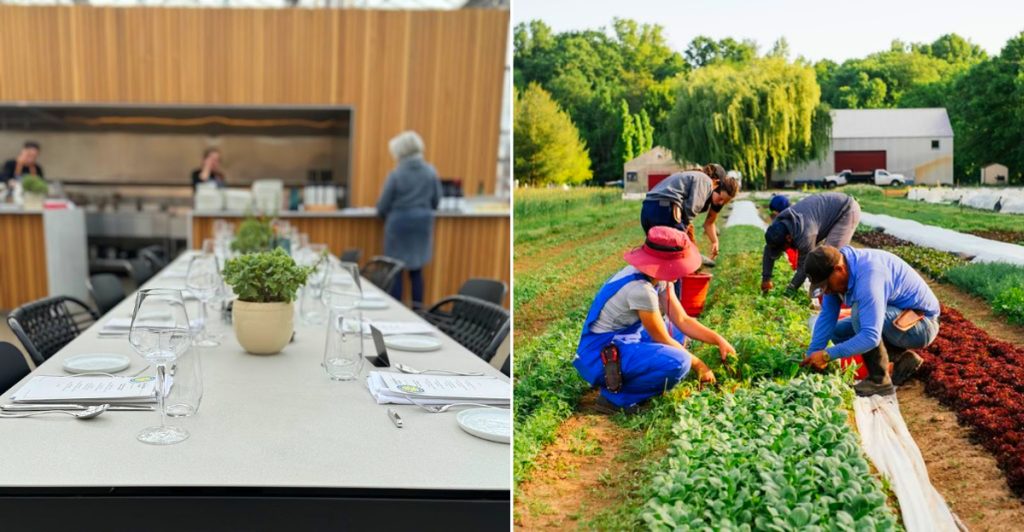 This Michigan Organic Farm Serves A Five-Course Greenhouse Supper ...