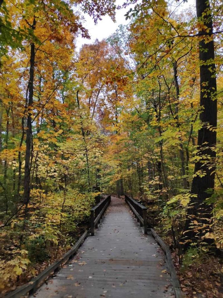 This Ohio Botanical Paradise In Westerville Boasts Over 2,000 Plant Species