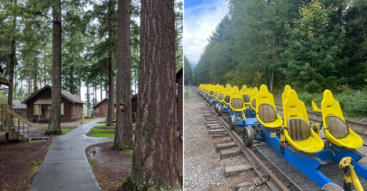 This Pedal-Powered Washington Excursion Lets You Coast Through A Forest ...