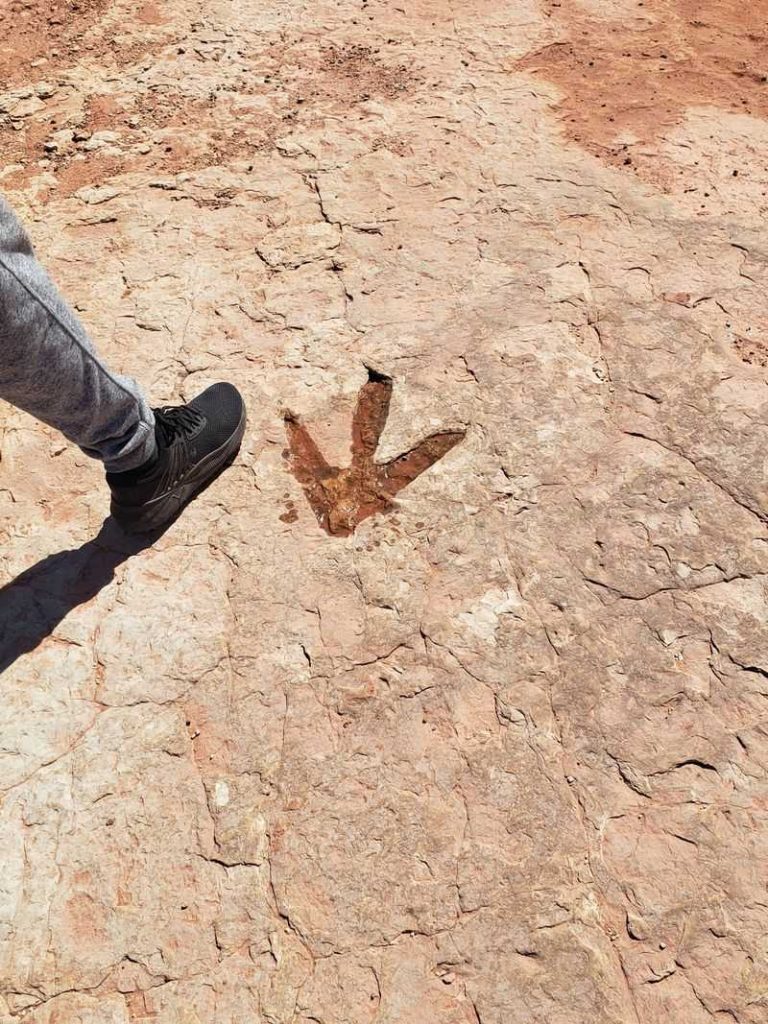 This Quiet Corner Of Arizona Lets You Stroll In The Actual Footprints ...