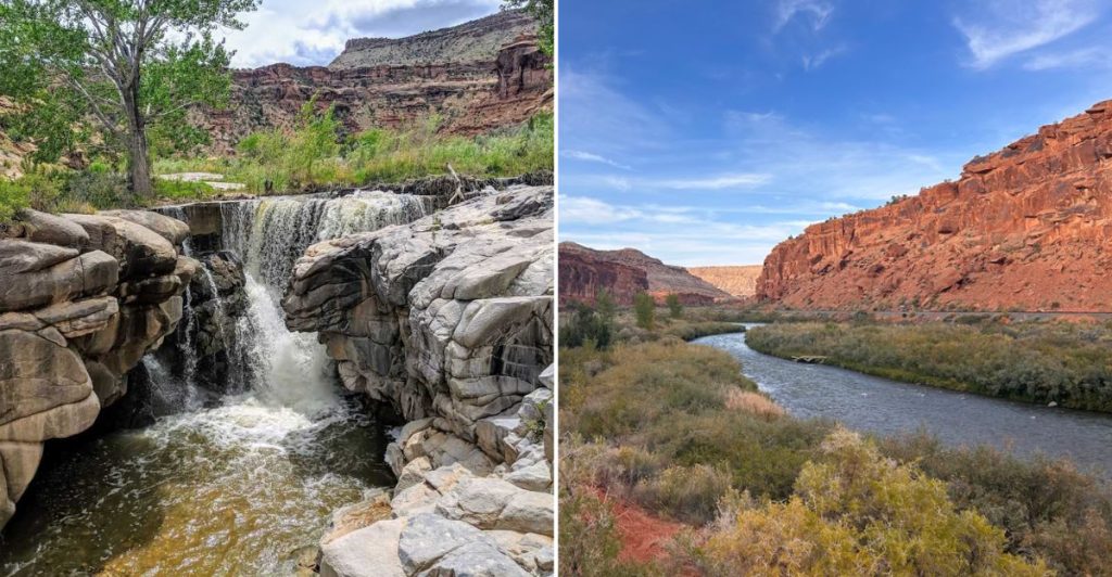 This Remote Colorado Canyon Hides An Unexpected Oasis Of Cottonwood Trees