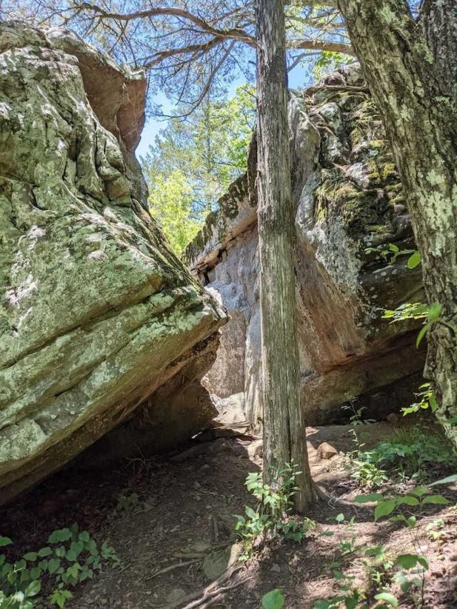 This Short Arkansas Hike Takes You To Emerald Pools And Waterfalls