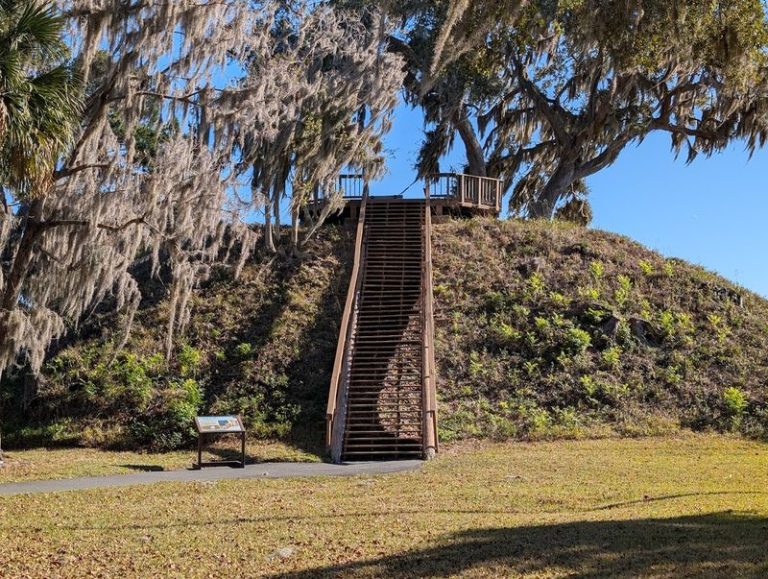 This Short Florida Trail Takes You Through A 1,600-Year-Old Native ...