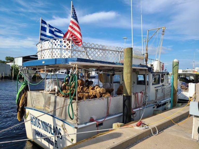 This Tiny Florida Town Is Packed With Seriously Amazing Greek Food