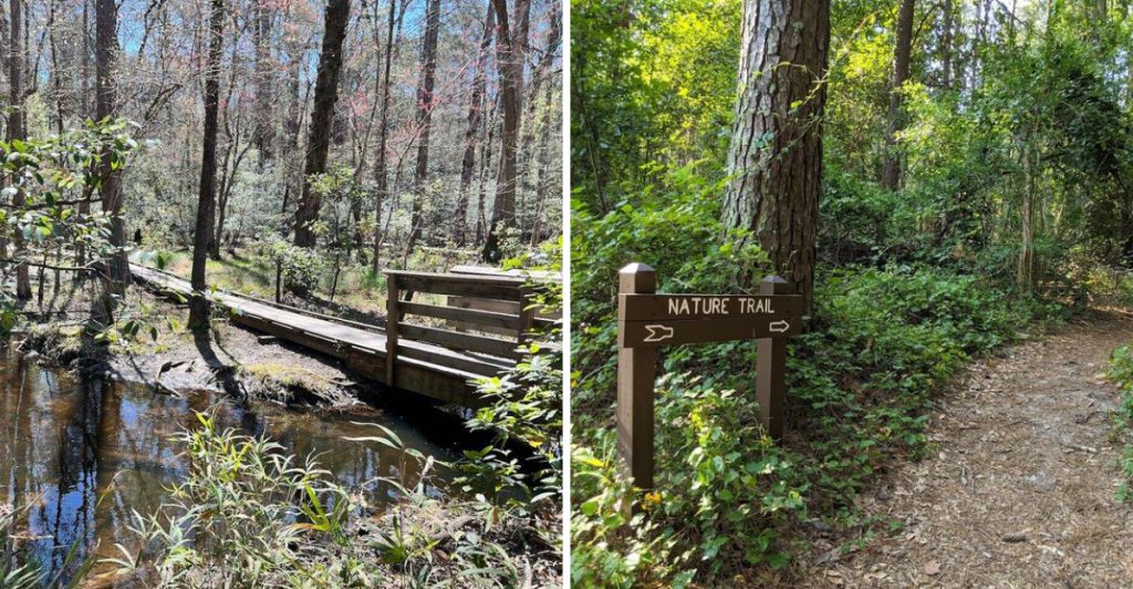 This Unforgettable South Carolina Trail Is Worth Hiking At Least Once ...