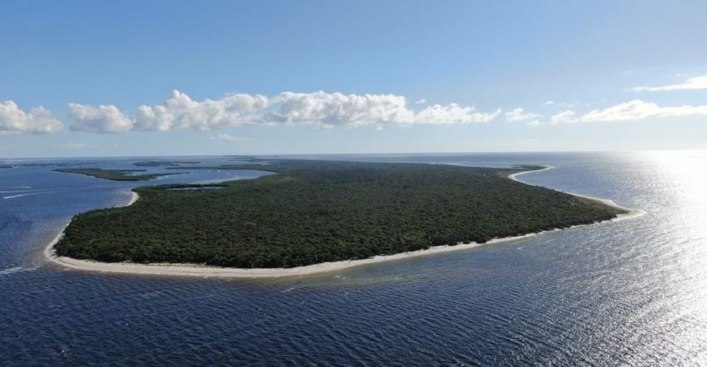 This Untouched Florida Barrier Island Has Wild Dolphins, Nesting Sea ...
