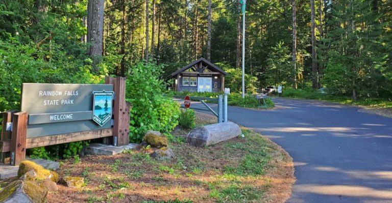 This Washington State Park Blends Old-Growth Forest, Logging Lore, And ...