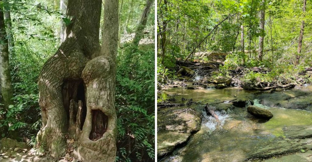 This Waterfall Hike In South Carolina Feels Like A Treasure You'll Want ...