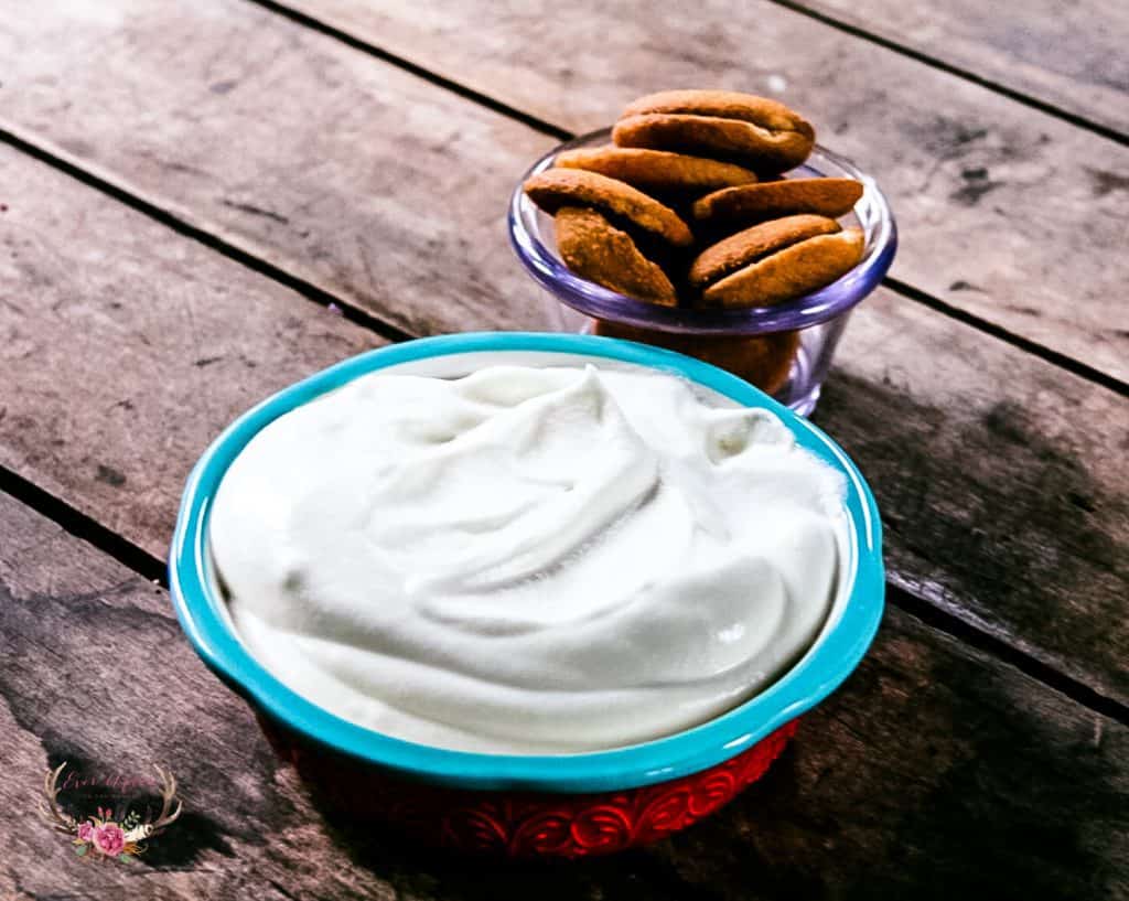 Banana Pudding Dip Recipe - Ever After in the Woods