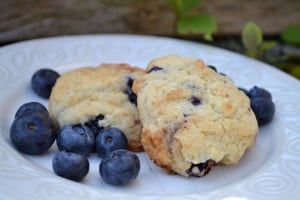 Blueberry Almond Cookie Recipe - Ever After in the Woods