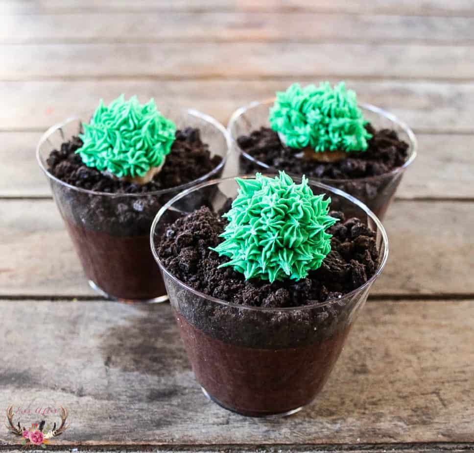 Cactus Themed Desserts - Ever After in the Woods