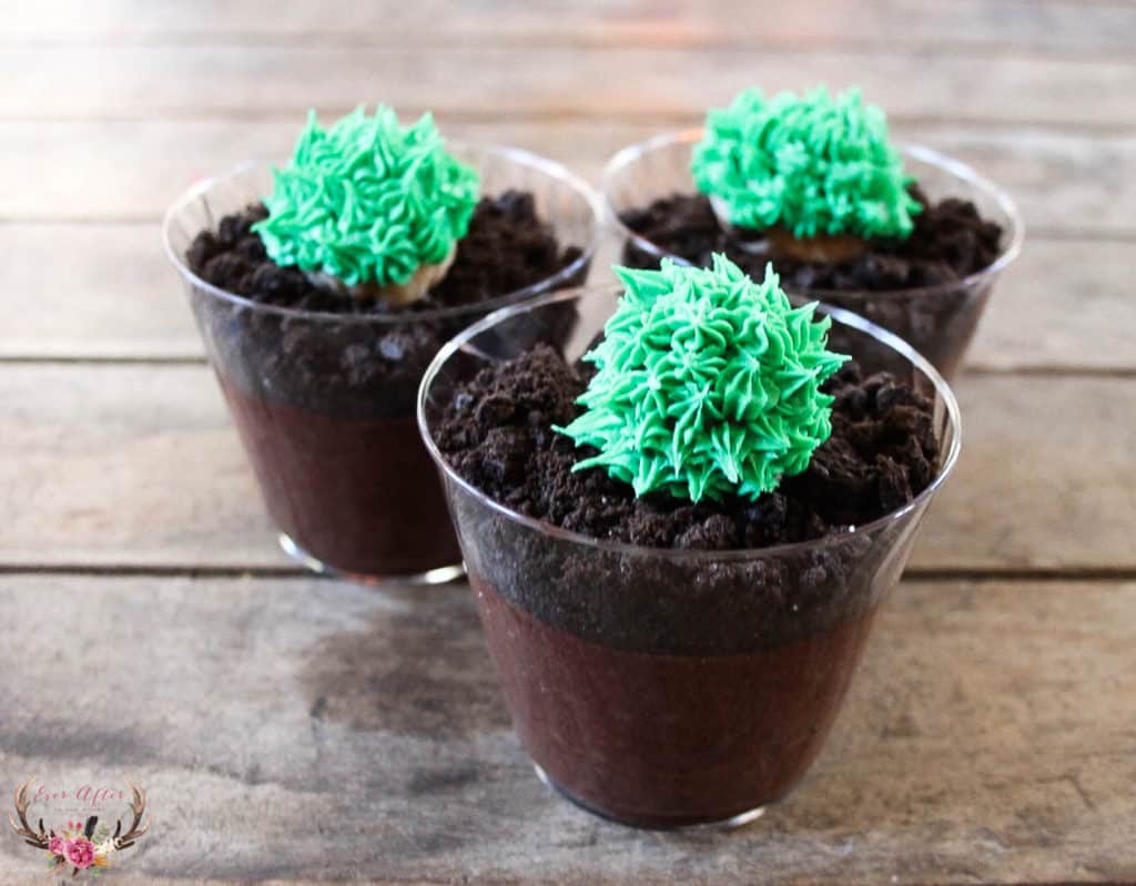 Cactus Themed Desserts - Ever After in the Woods
