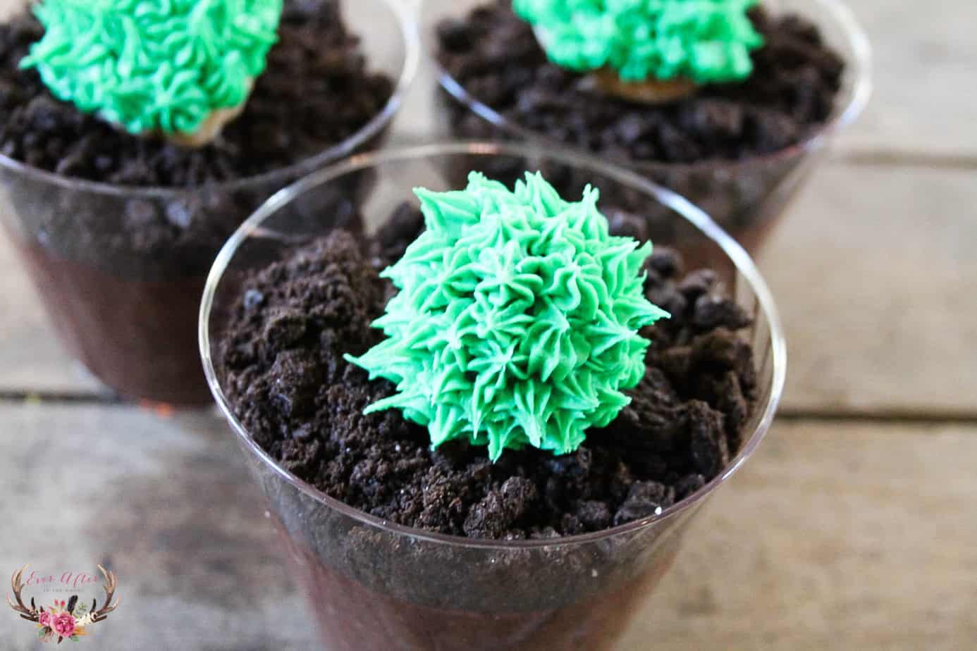 Cactus Themed Desserts - Ever After in the Woods