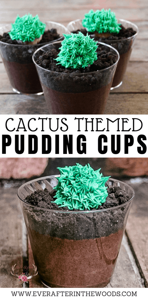 Cactus Themed Desserts - Ever After in the Woods