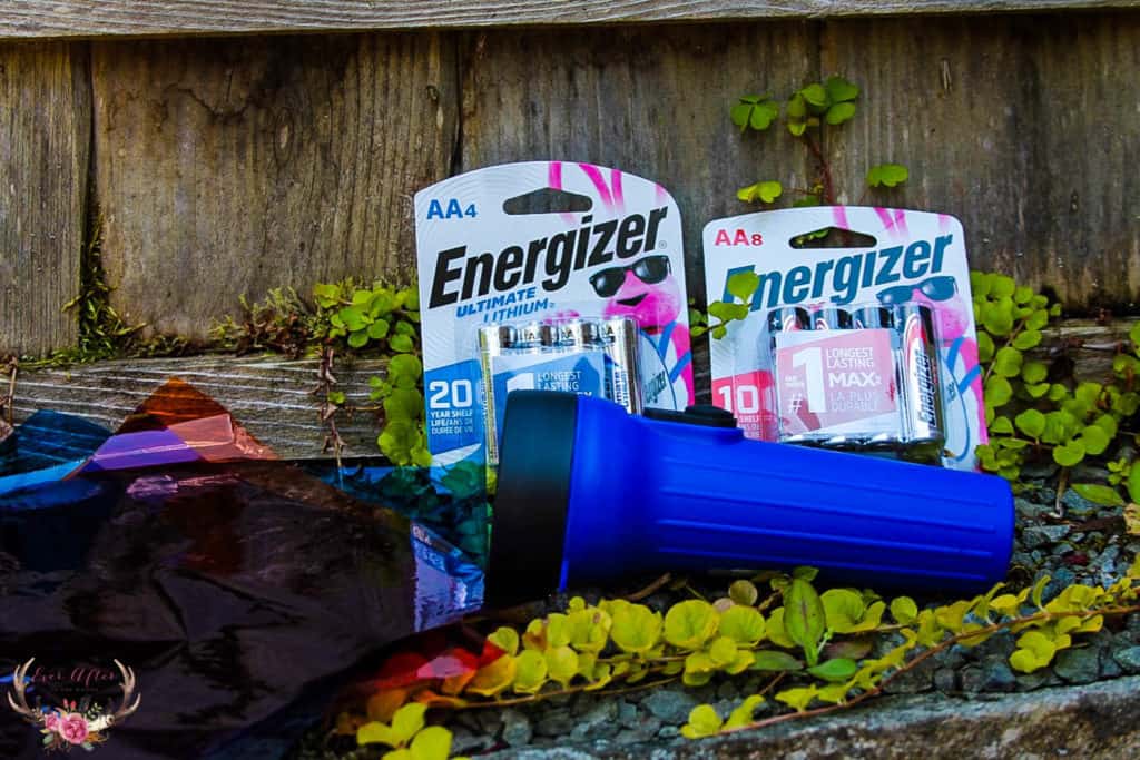 STEAM Activities this Summer with Energizer® - Ever After in the Woods