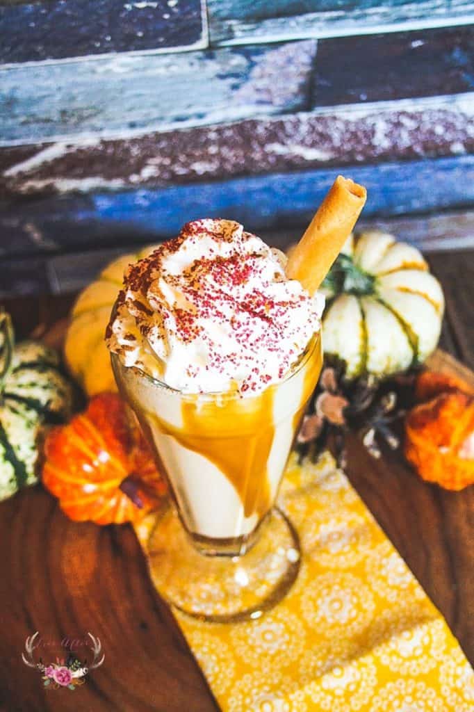 Fall Churro Milkshake Recipe with Torani Syrup - Ever After in the Woods