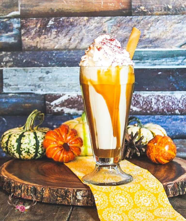Fall Churro Milkshake Recipe with Torani Syrup - Ever After in the Woods