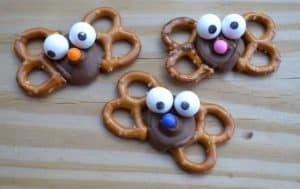 Super Cute Pretzel Bugs - Ever After in the Woods