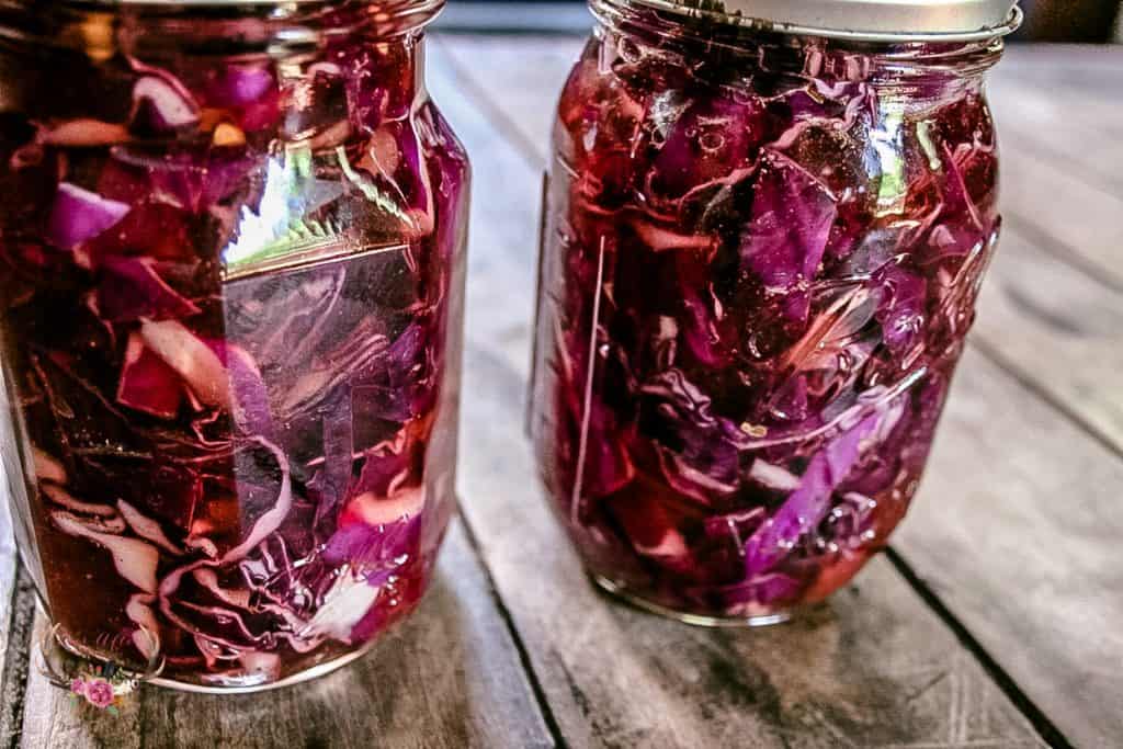 Easy Pickled Red Cabbage - Ever After in the Woods
