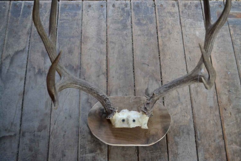 Rustic Chic Antler Decor DIY - Ever After in the Woods