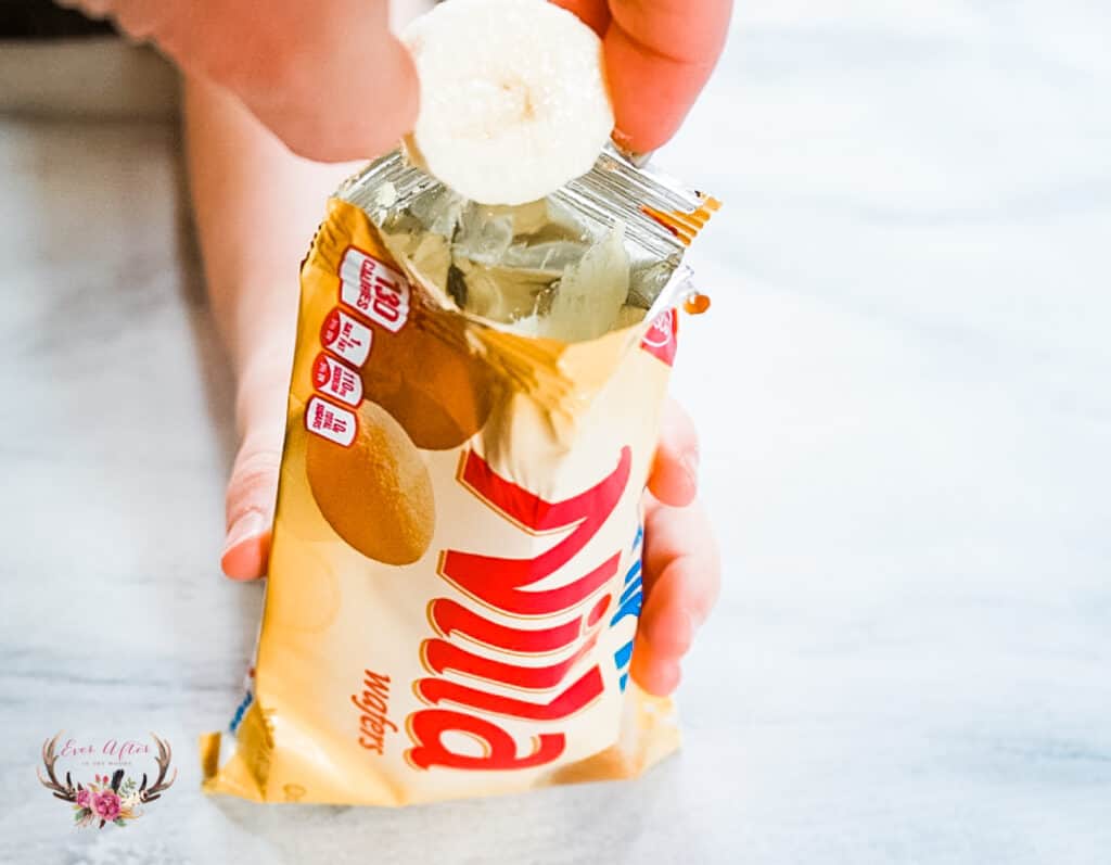 Walking Banana Pudding Recipe - Ever After in the Woods